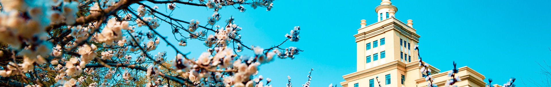 师资队伍-黑龙江大学外国语言文学学院（区域国别学院）